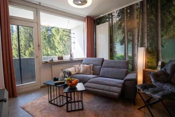 Harz High End 4 Und 5 Sterne Dtv Apartments - Goslar