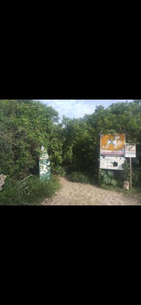 Retreat On Praia Do Rio Tavares - Florianópolis