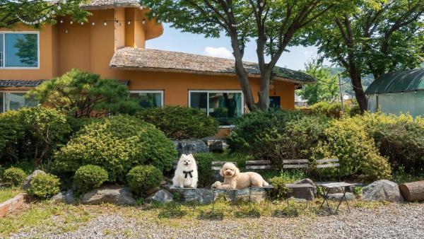 Daebudo Banditbul Pension - South Korea