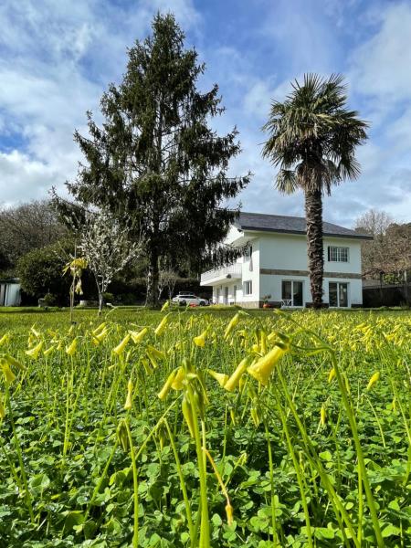 The Eira - Spacious Home With Lush Garden - Vigo