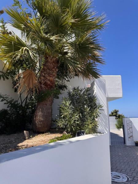 Seabreeze Milos - Milos