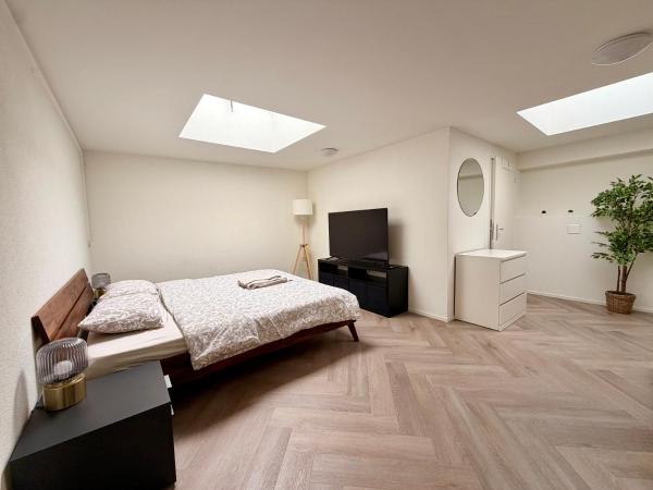 Newly Renovated Apartment In Basel Ad Basel Card - Bâle