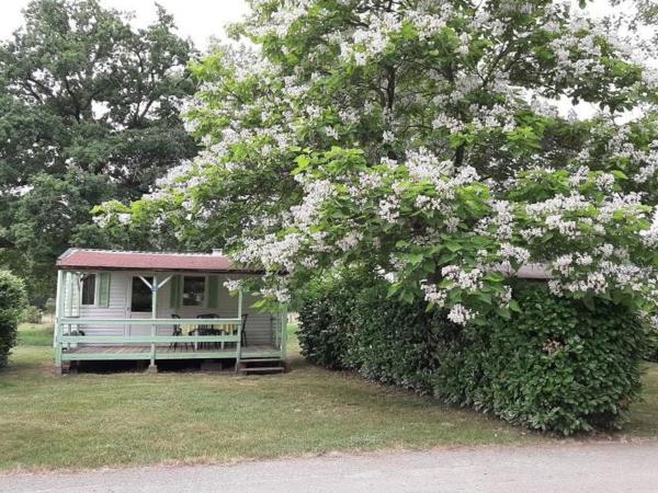 Mobil Home, Animaux Admis - 4 Pers. - Api-1-52-2683 - Auvergne