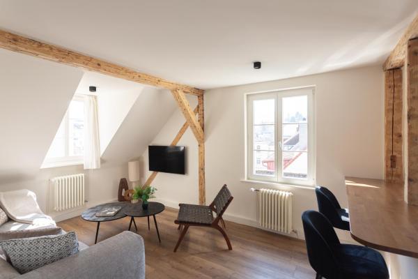 Boutique Charme Apartments Langestr 14 - Schwarzwald