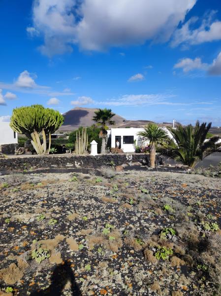 Volcanic Central - Teguise