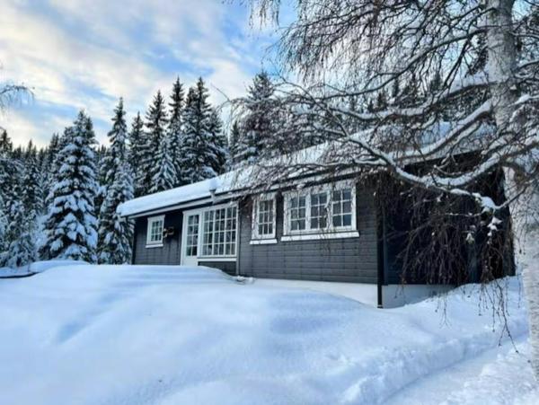 Lakeside Cabin Near Sjusjøen And Lillehammer - Norway