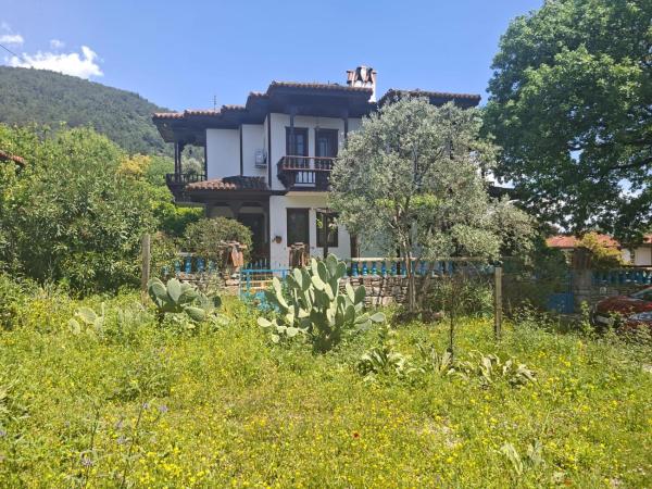 Villa İKiz - Akyaka, Muğla