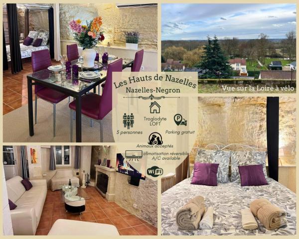 Les Hauts De Nazelles - Troglodyte + Parking - Touraine