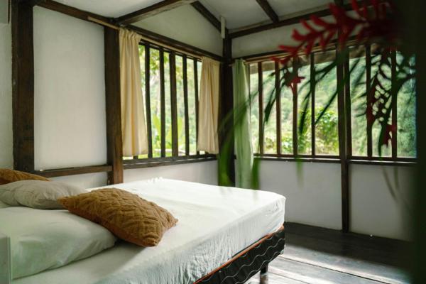 Jungle River Lodge - Honduras