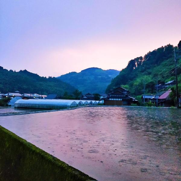 Idyllic Country Guest House With Veg Garden - 福岡県