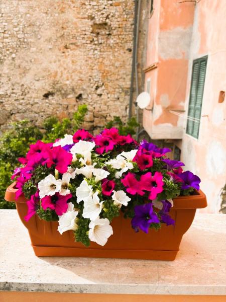 Casa Solare Al Mare - Terracina
