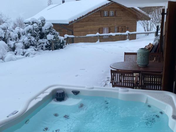Luxurious Flat With Jacuzzi Sauna - Saanen