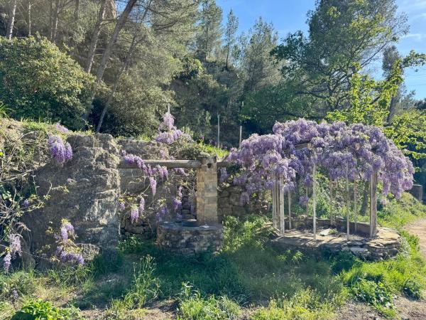 Bas De Maison Indépendant En Campagne - Salon-de-Provence
