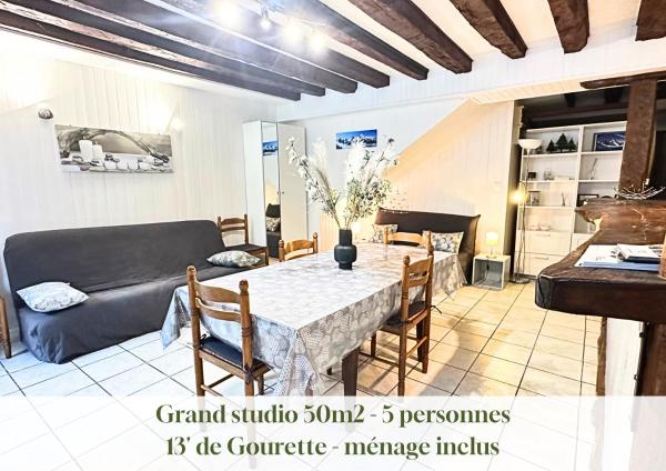 Grand Studio 50m2, 4-6 Personnes Aux Eaux-bonnes - Station d'Artouste