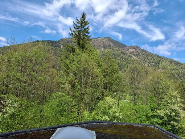 Alpine Studio Near Bad Ischl#2 - Attersee