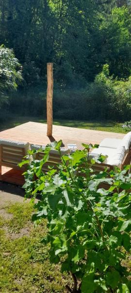 Bachgeflüster - 3 Zimmer Am Heiligenberg Im Natura 2000 Gebiet - Darmstadt