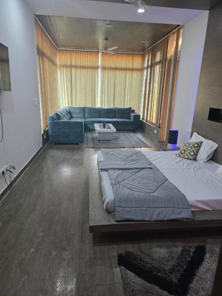 Slepyy Fox- Kailash Colony - New Delhi