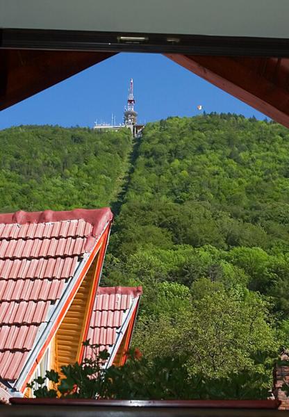 Staynatural Brasov Center - Brașov