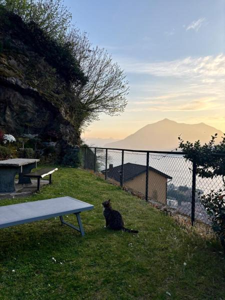 La Casa Di Lola Lake Como View - Bellano