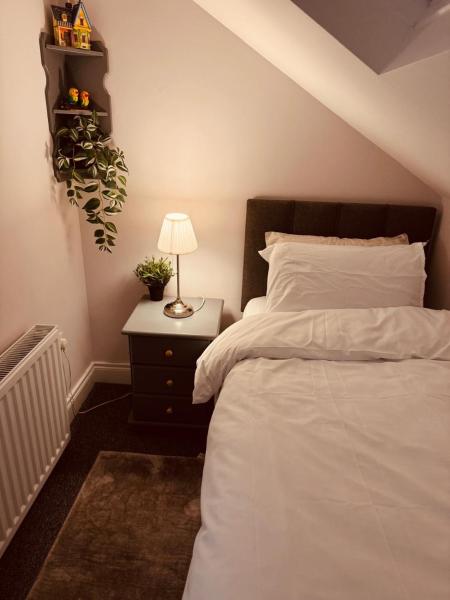 Cozy Small Room - Ideal For Solo Stay - Belfast