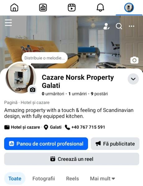 Norsk Skogkatt - Bigtv Disneytv - Tulcea