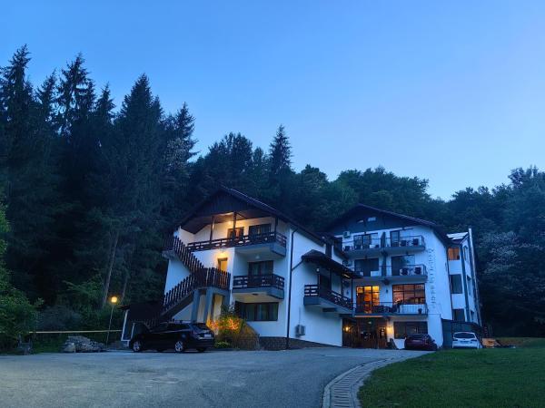 Hotel Trei Brazi - Baile Govora