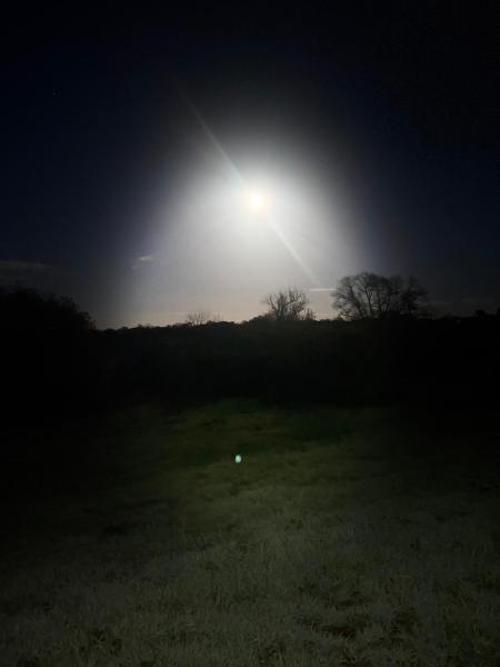 Hilltop Farm Camping - Wiltshire