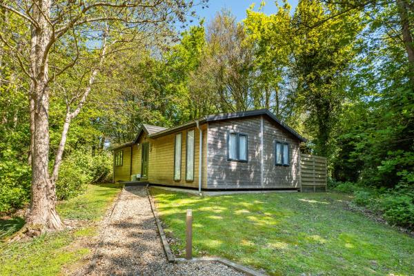 Warren Wood Country Park - East Sussex