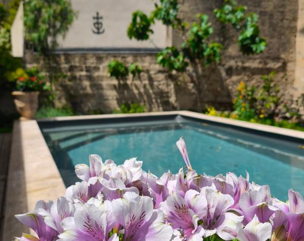 Villa Adoya Chambre D'hôtes Intra Muros Avec Piscine Et Ascenseur - Aigues-Mortes