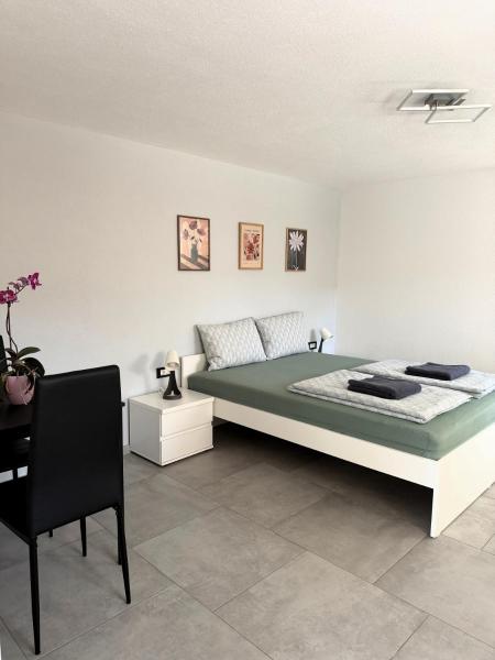 Apartments Britof Kranj - Kranj