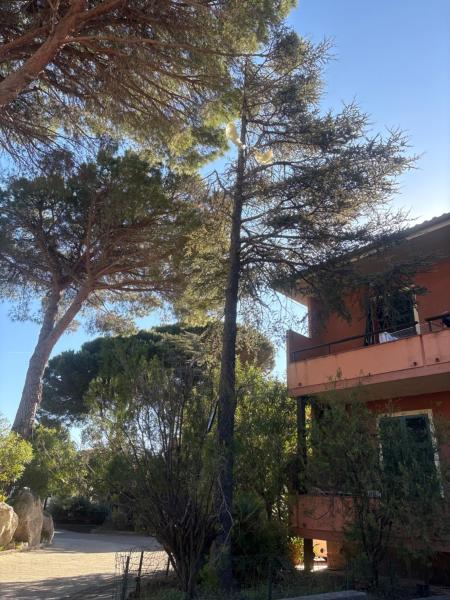 Casavacanze Zeus - Elba
