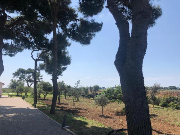 Villa Selas - Tarente