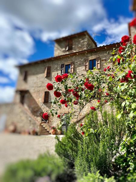Casale Collecchio Siena - Radda in Chianti