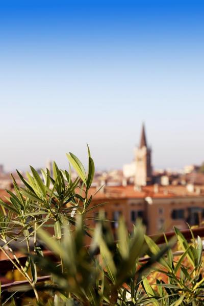 Stelle Di Verona - Selene - Verona