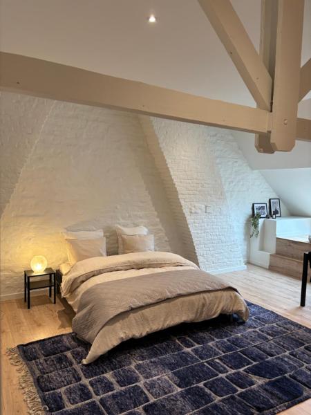 Stylish Private Rooms In Ghent Citadelpark - Ghent (Belgium)