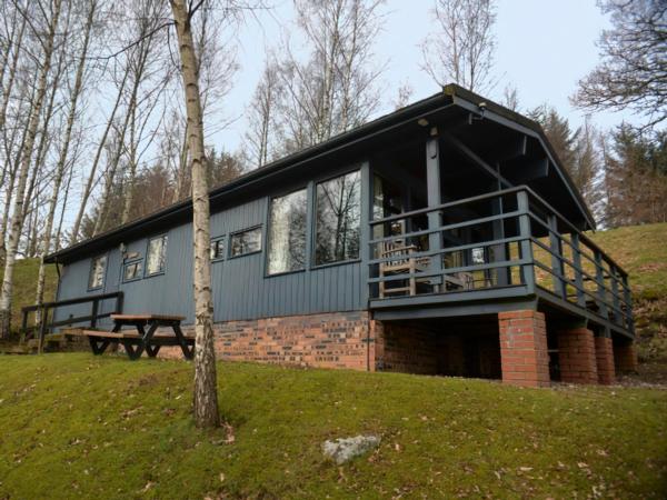 Conifer Chalet 5 - Ukc5219 - Crieff