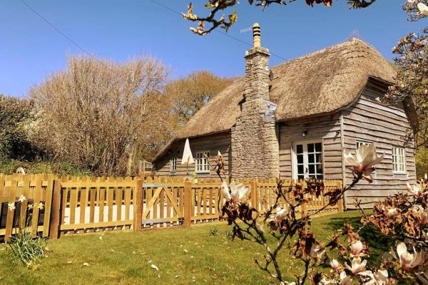 Music Room - Traditional Purbeck Thatch Cottage - Dorset
