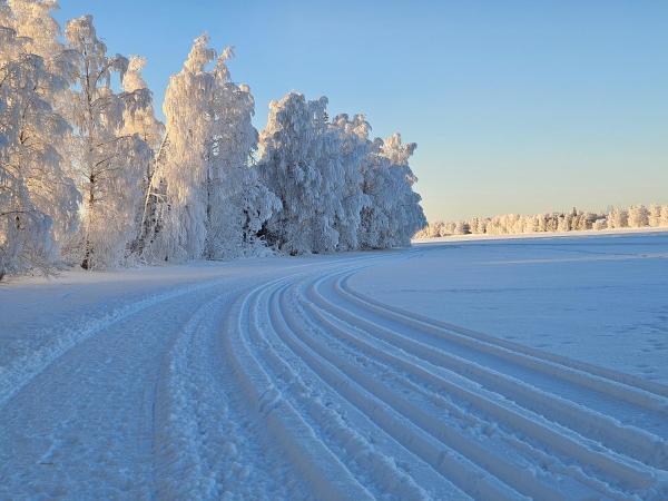 Riverside Loghouse - Rovaniemi