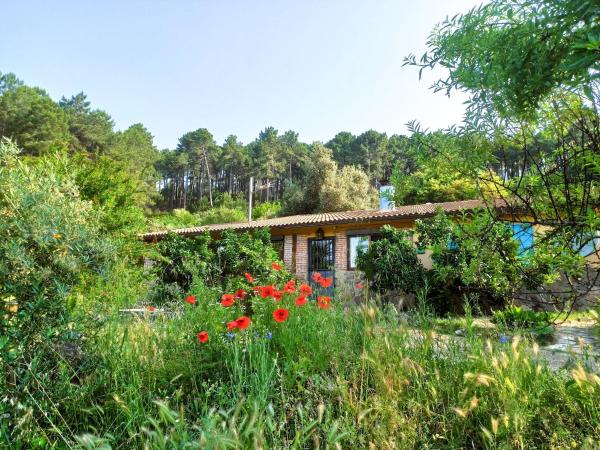 Casa Rural Las Gesillas - Arenas de San Pedro