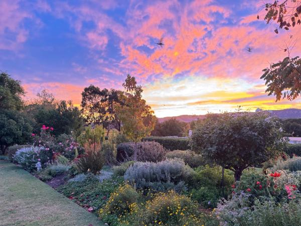 Barossa Garden Homestay - Adelaide