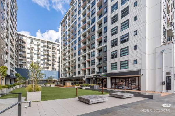 Luxury And Morden Deux & Furry Friends Welcome - Auckland
