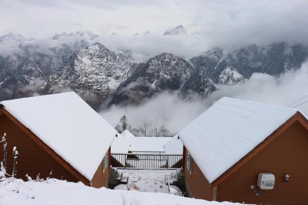 The Auli Meadows - Joshimath