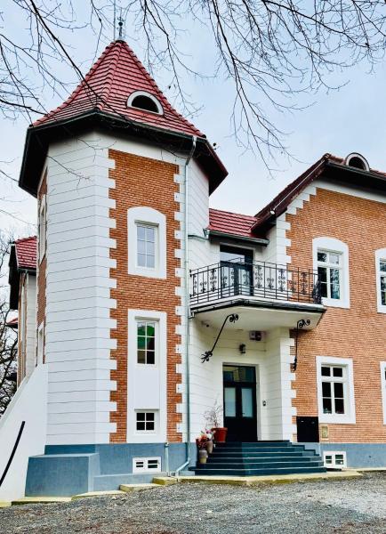 Sándor János Villa - Sovata
