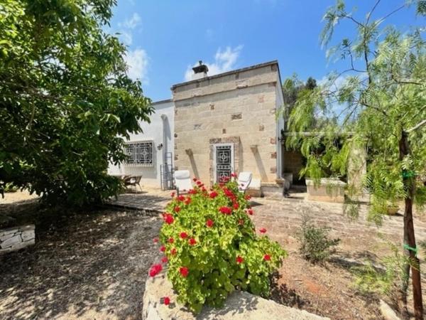 Lamia Alvise - San Vito dei Normanni