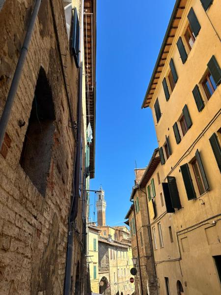 Casina Bracci - Siena