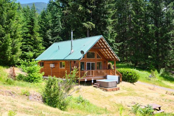 Mountain View Cabin, Hot Tub At White Pass Resort, Mt Rainier - Packwood, WA