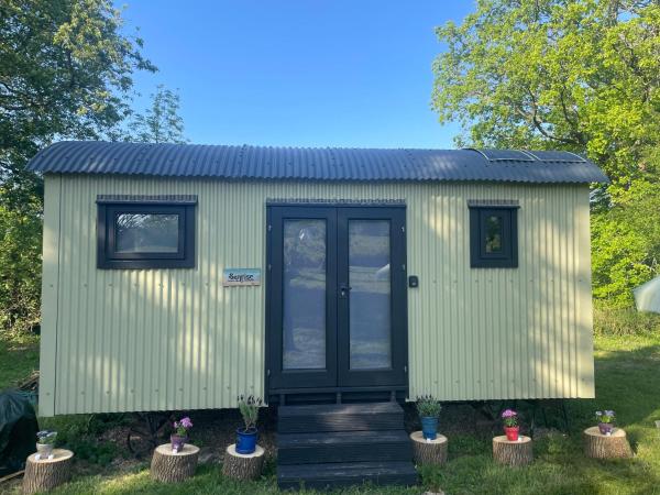 Apple Orchard Shepherd Huts - Hastings