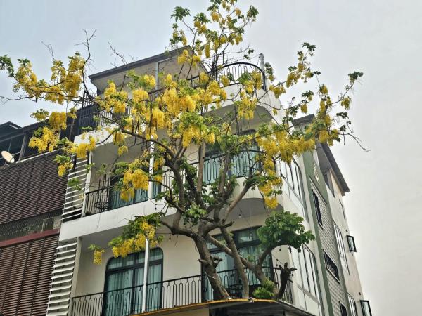 Serene Residence - Vientiane