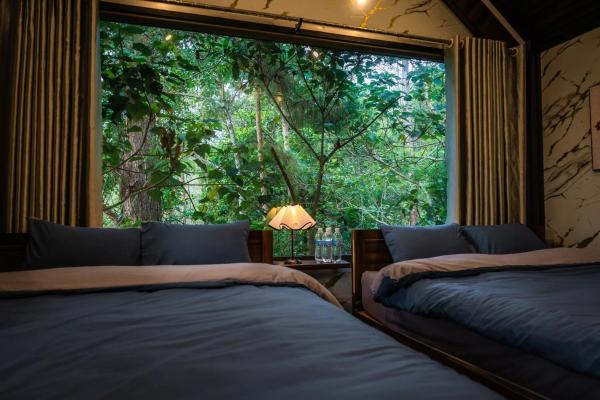 Angels Homestay & Coffee - Măng ĐEn - Quang Ngai