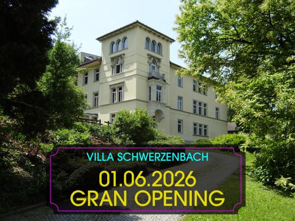 Neu Villa Schwerzenbach "Der Flaneur - Der Romantiker Der Villa - Bregenz